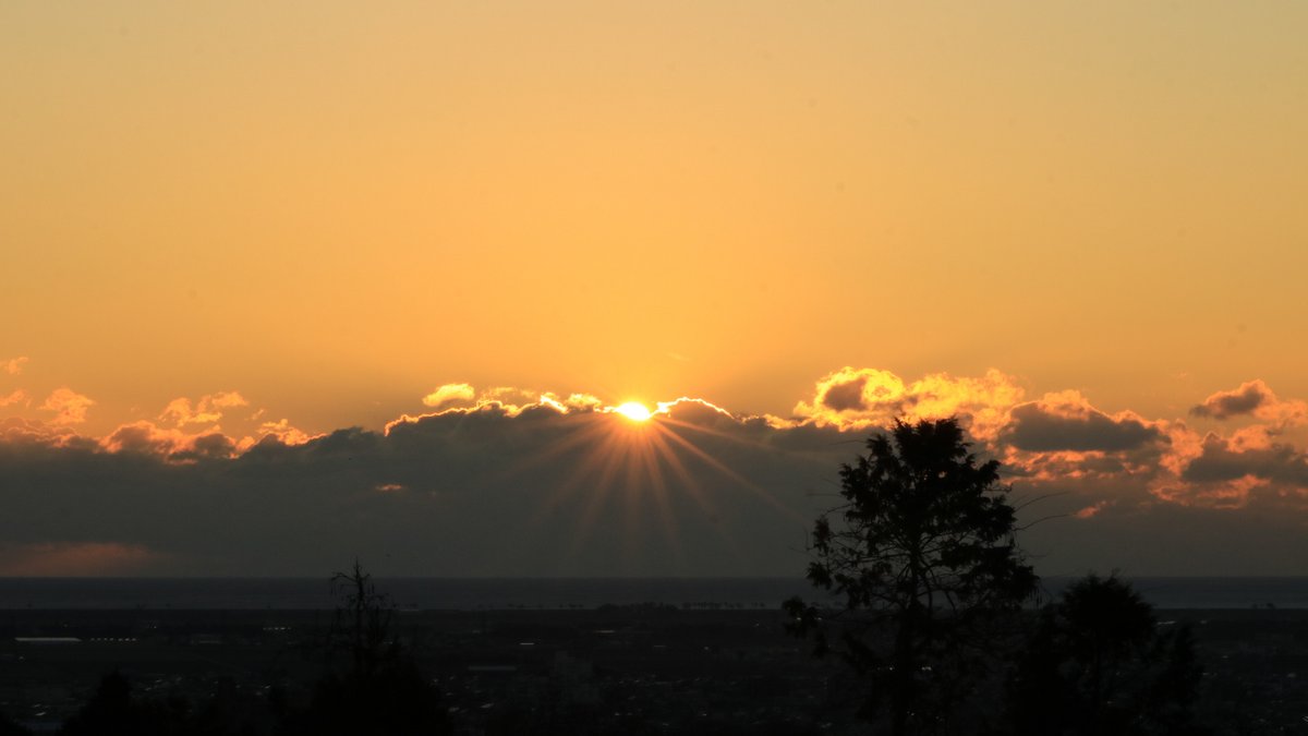 みんなでつくる冬アルバム 日本気象協会編｜日本気象協会｜Harmonability style