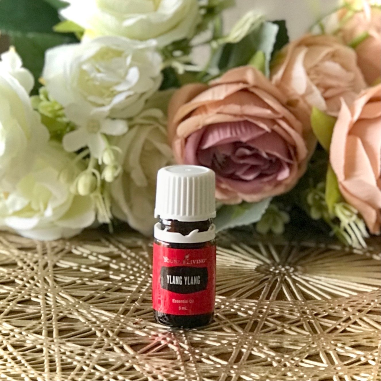 2月 ヤングリヴィング社の精油を注文します｜Yoshie / Petit Lapin