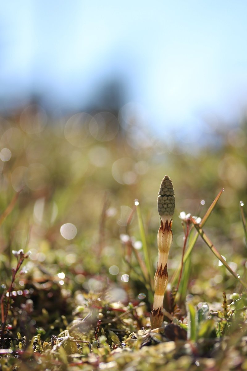 輝ける瞬間のおはなし｜Chie coco｜note