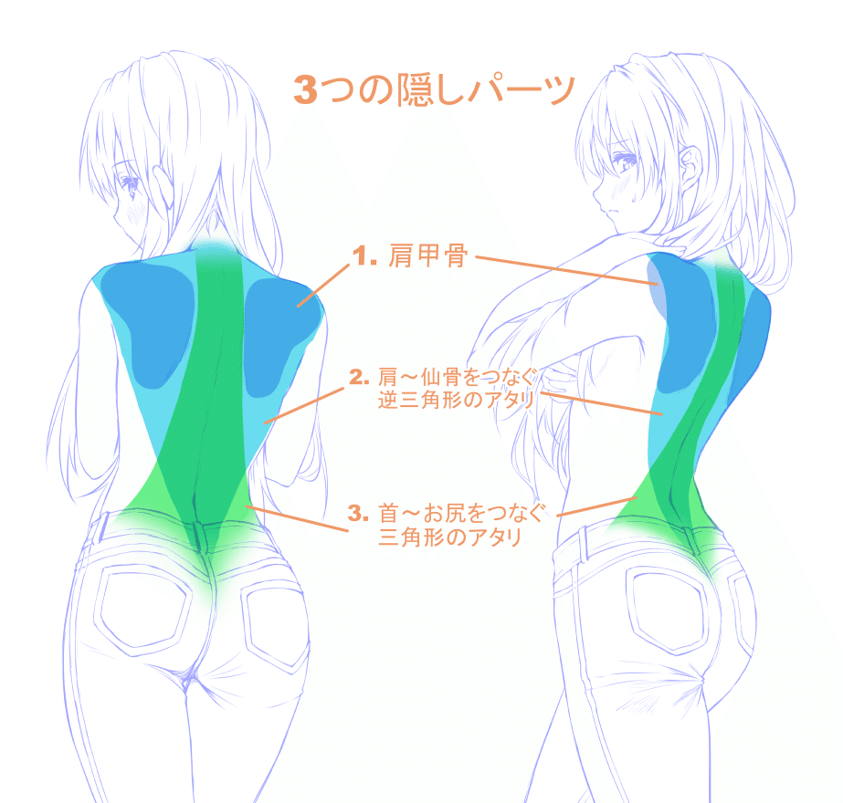 背中は3つの”隠しパーツ”を知れば描ける！色気を感じる背中の描き方7ステップ｜ReL@セルフ解説系イラストレーター