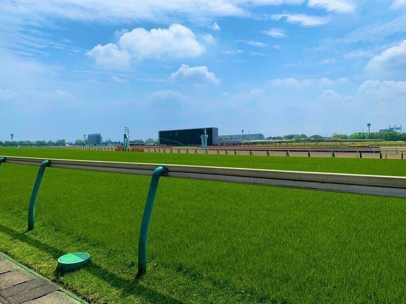 🔥🌰2/12(日)いざ重賞10週連続的中へ🎯【勝負馬券公開予定】G2京都記念&G3共同通信杯&買いたいレース🌰🔥｜🌰くりの競馬｜note