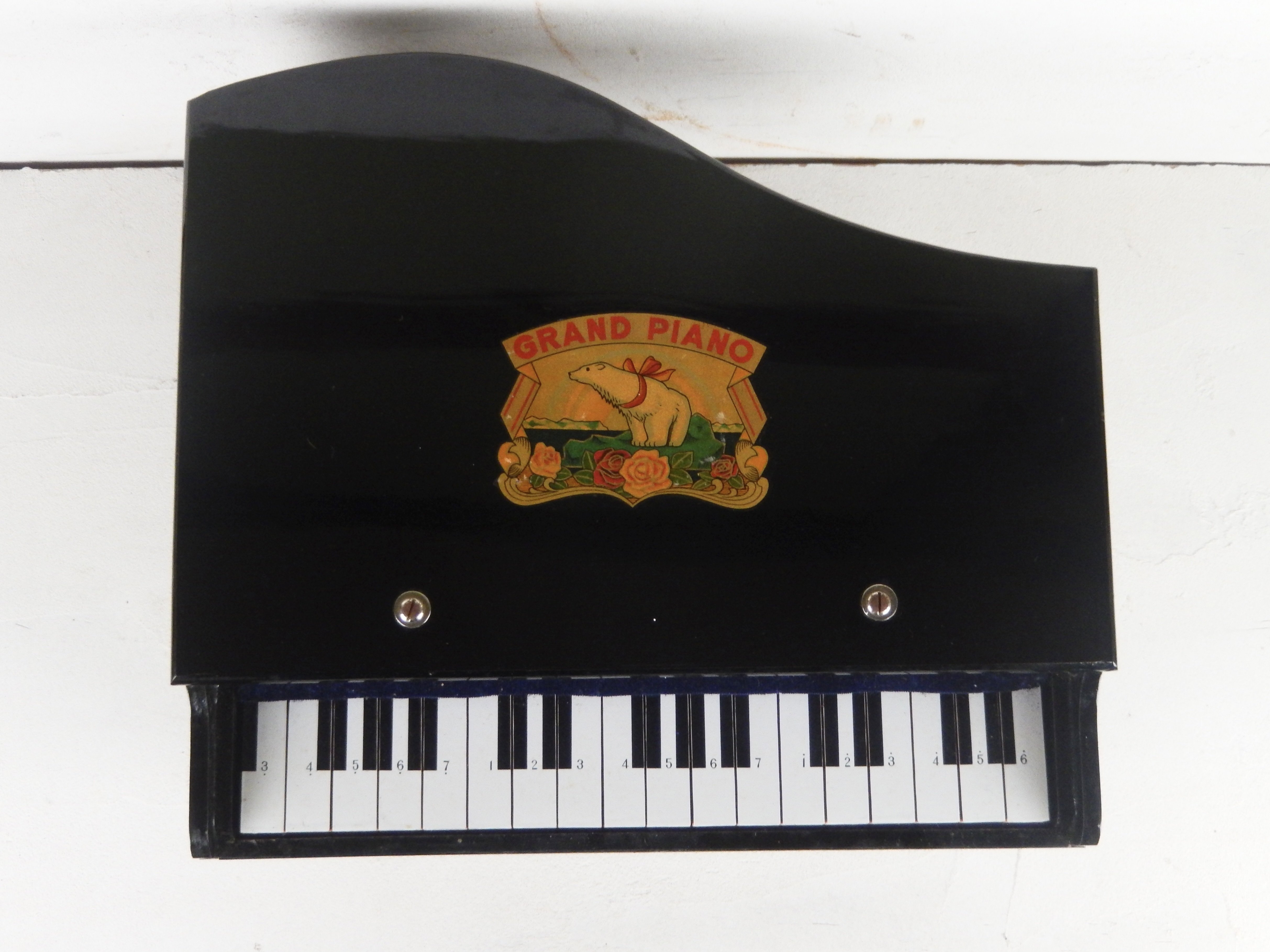 20230212｜takuroh shirafuji