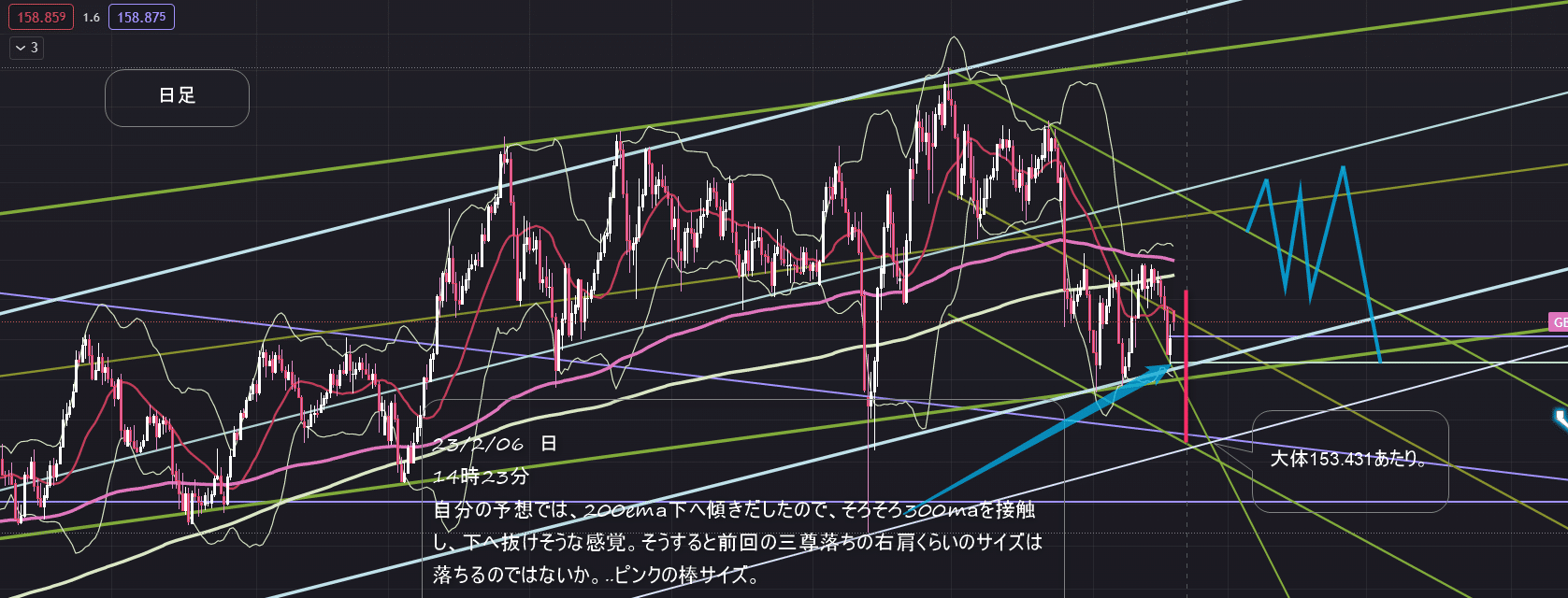 検証用｜Taira Maru