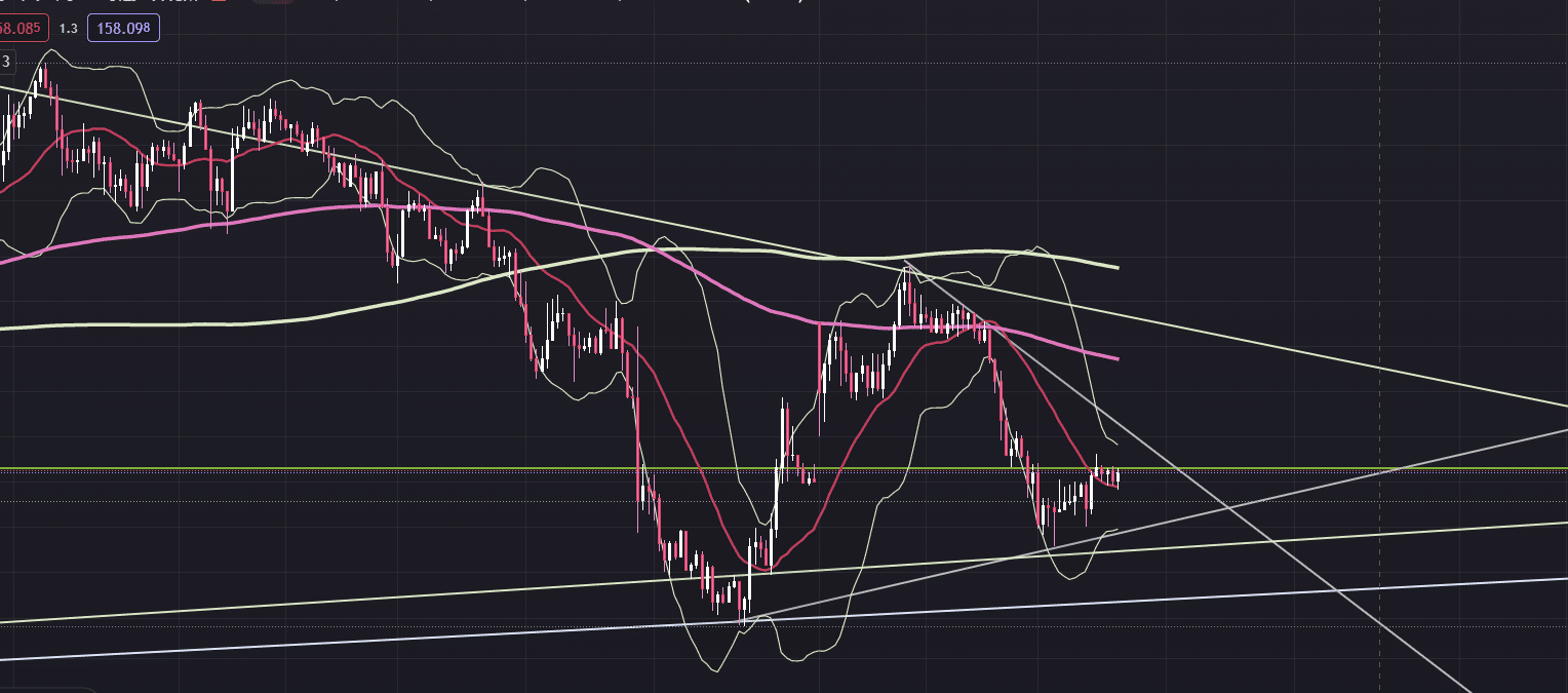 検証用｜Taira Maru