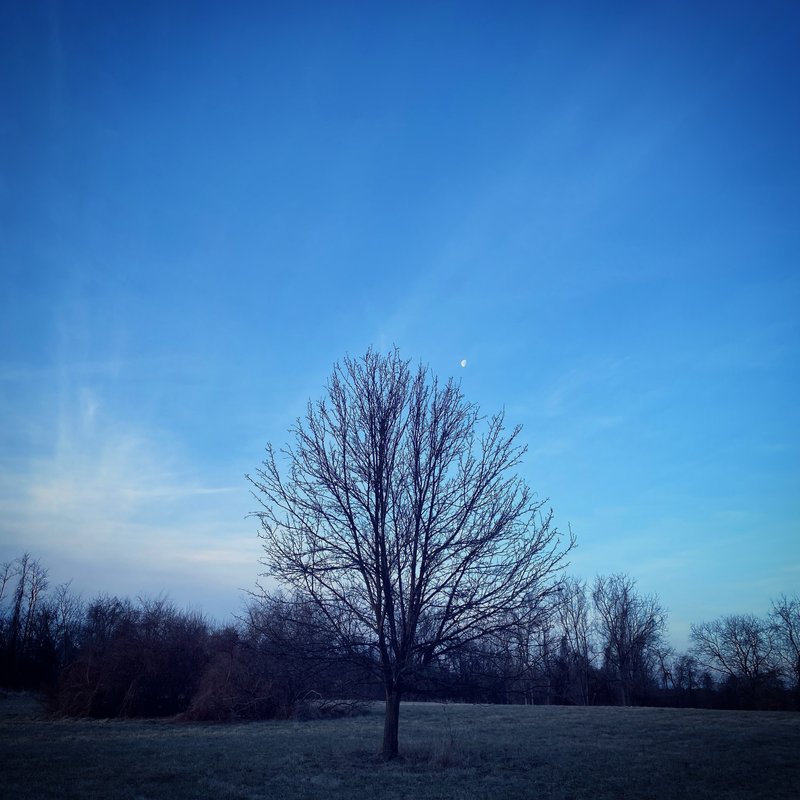 Day 13 (of 56) アラフィフダイエット「8週間チャレンジ」：いい日だった。｜Chie｜note