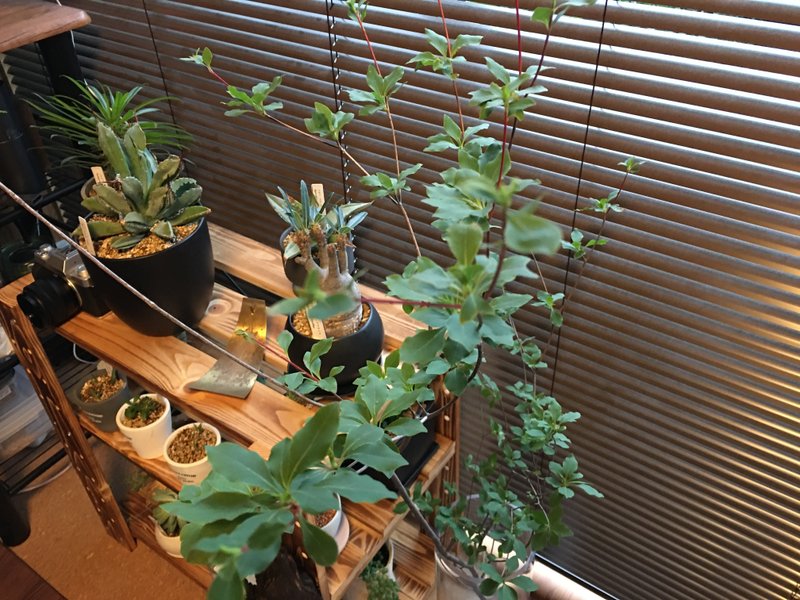 安心できる自分の環境づくり｜Koki/ Video creator