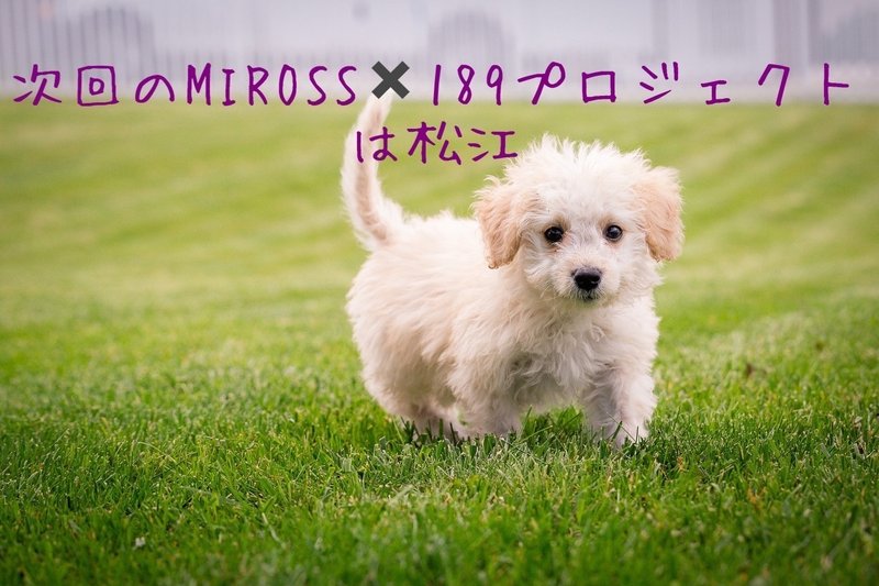 「MIROSS ️189プロジェクトin広島」 大盛況の中、終了致しました。｜Team NOAH 〜世界から虐待をなくすプロジェクト〜｜note