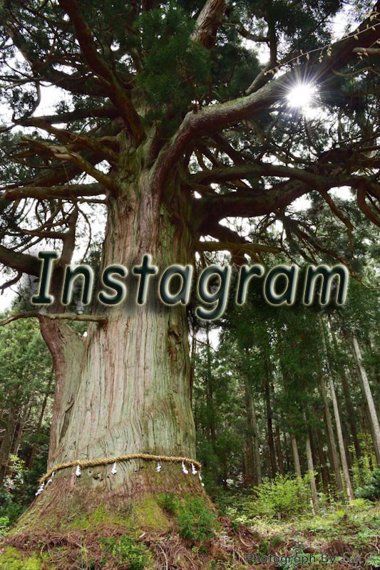 Seiji.Resonanceリンク集｜Seiji.Resonance