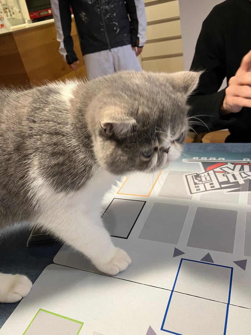 第3回EXPAオフレポ -幸せの4日間-｜ありおりお｜note