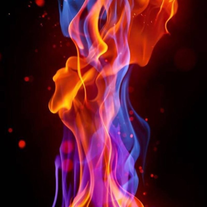 MUCHA(ミュシャ)メニュー｜freedom Mika｜note