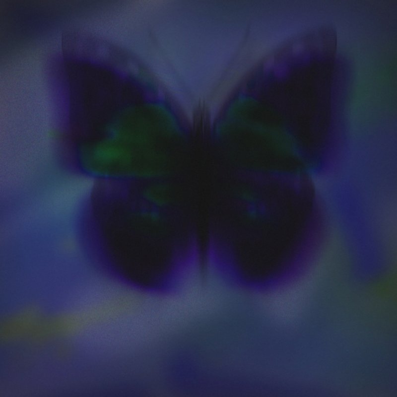 自己紹介と作品紹介｜ryosuke iseki