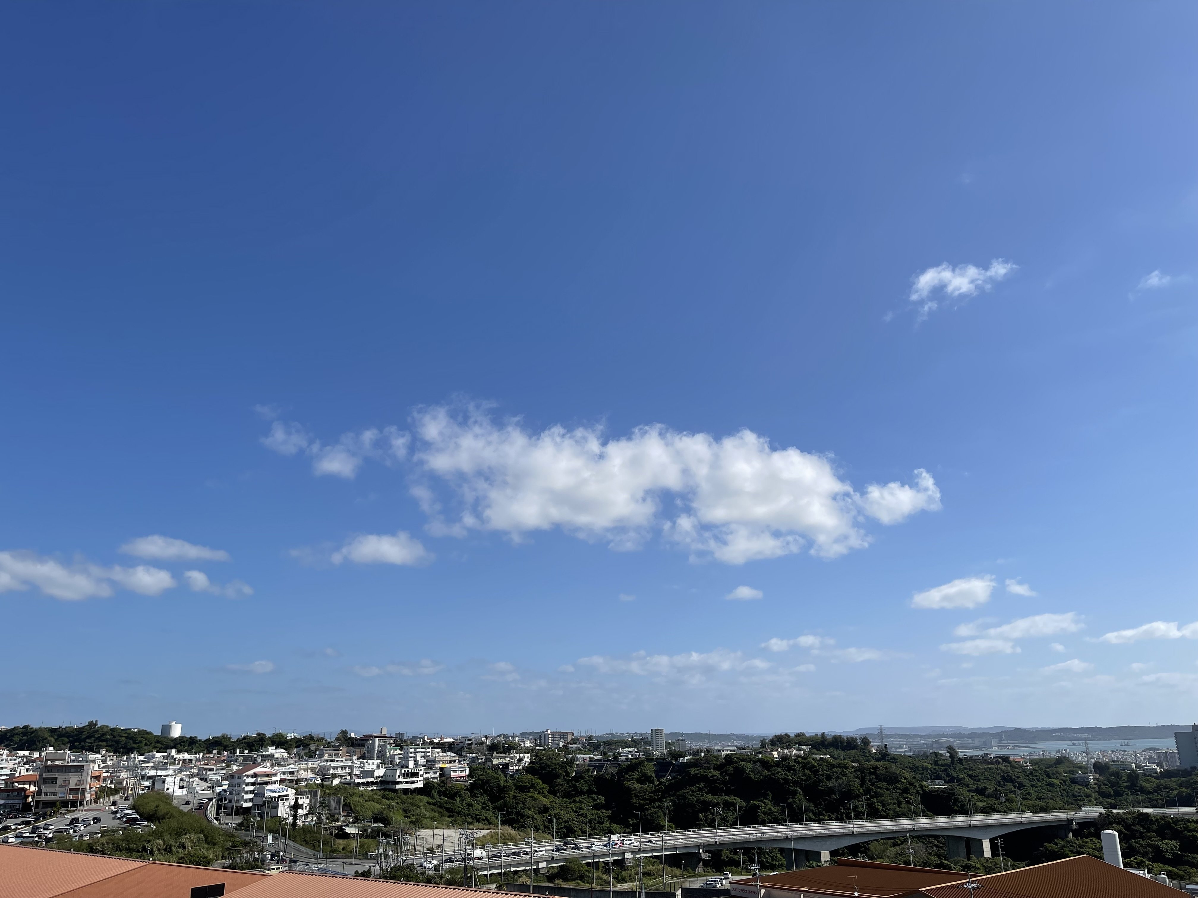 ライカムウォーキング141日目｜38gi.ryu｜note