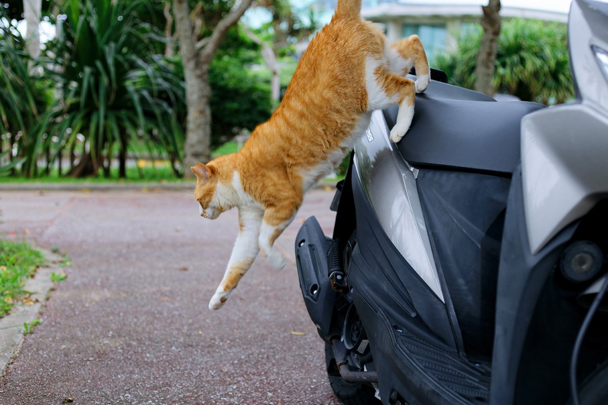 鋭い！｜Masaki Senko｜note