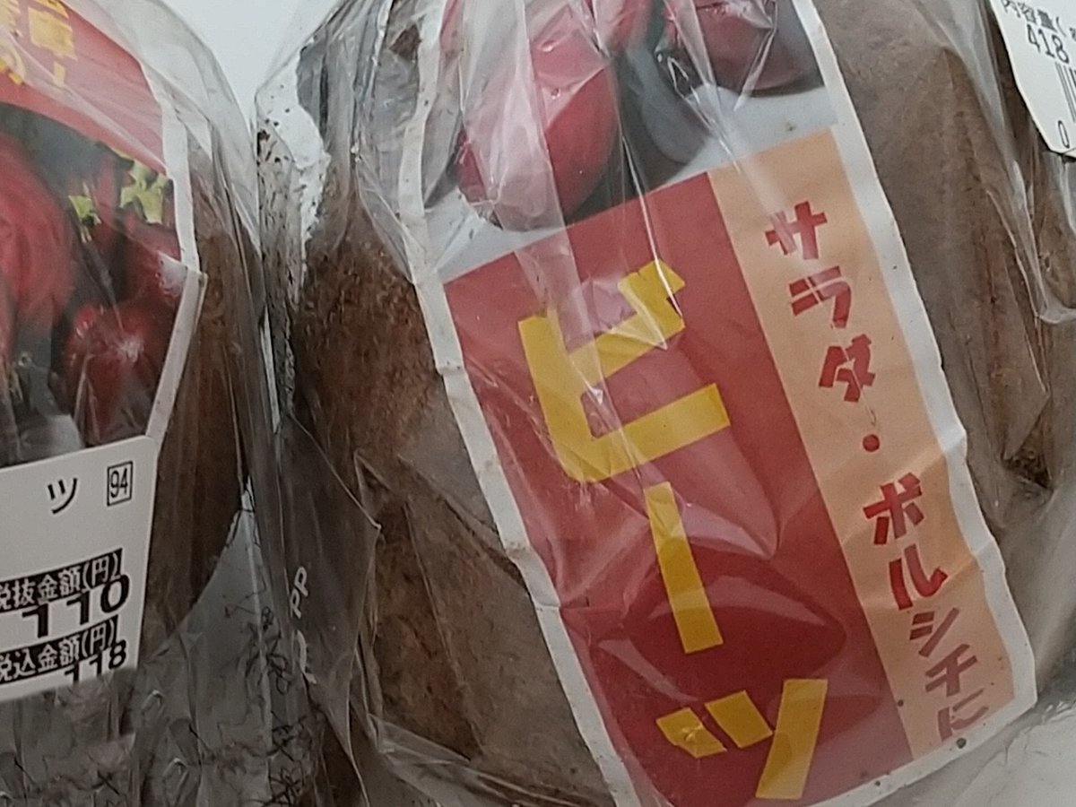 初めてビーツにトライ｜Hiro Oaks / 日々の雑感