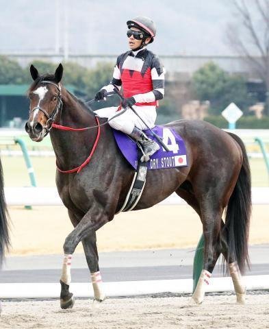 【フェブラリーS（G1）回顧】W的中!ブラボー!!｜Haya