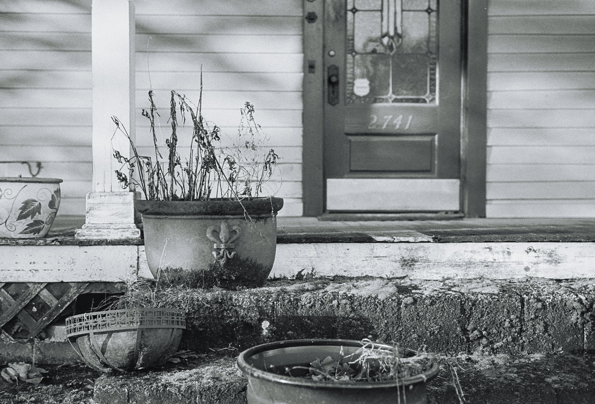 OLD HOUSE＜週末自家現像＞｜MOJA MOJA｜note