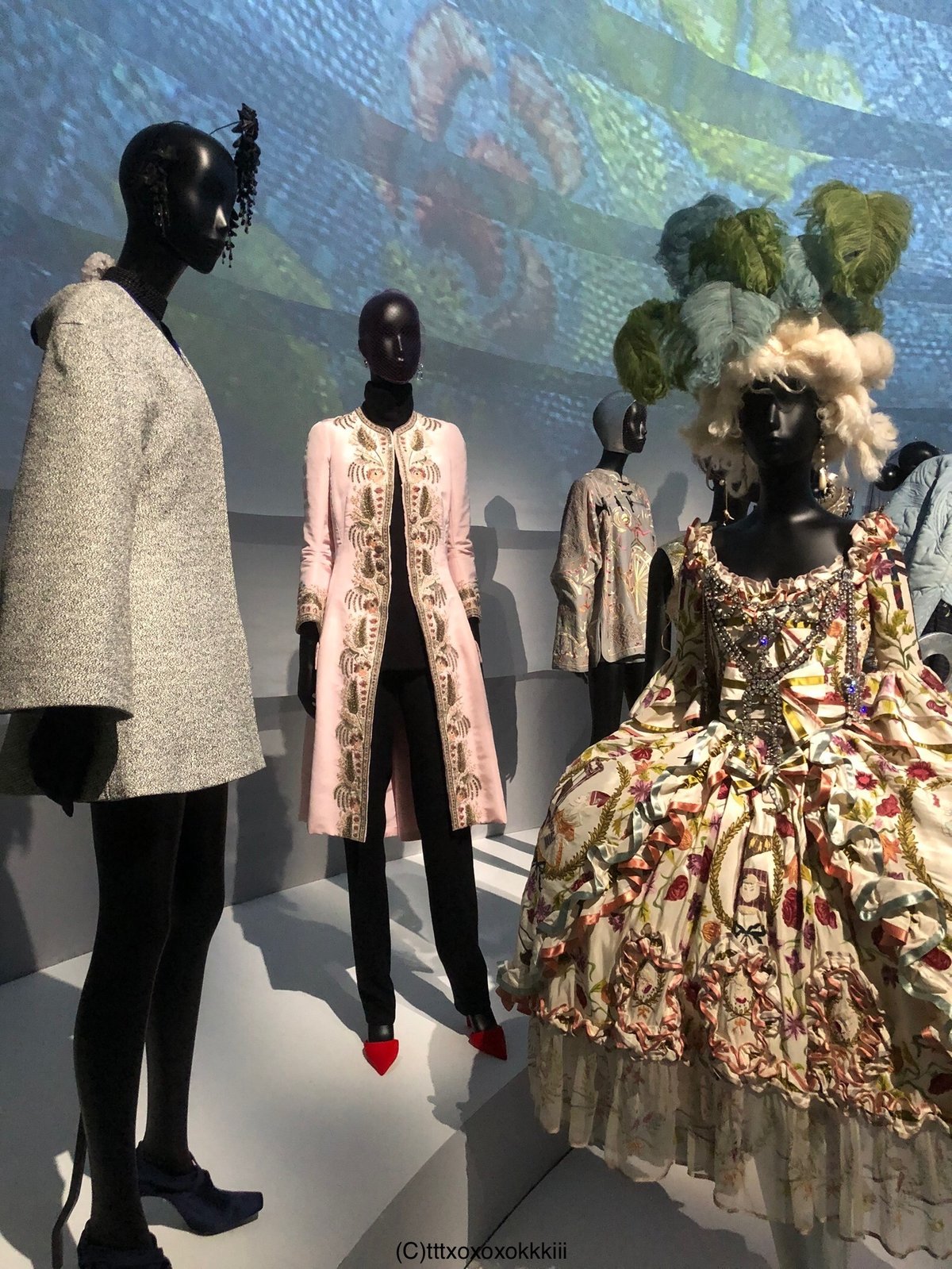 私が見た3つの “クリスチャン・ディオール、夢のクチュリエ” 展｜Toki Minami