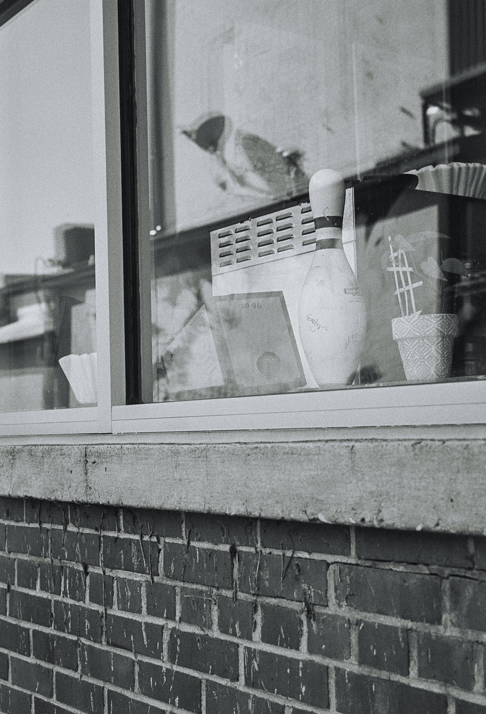 レンガ、木々、ガラス、鉄 ＜週末自家現像＞｜MOJA MOJA｜note