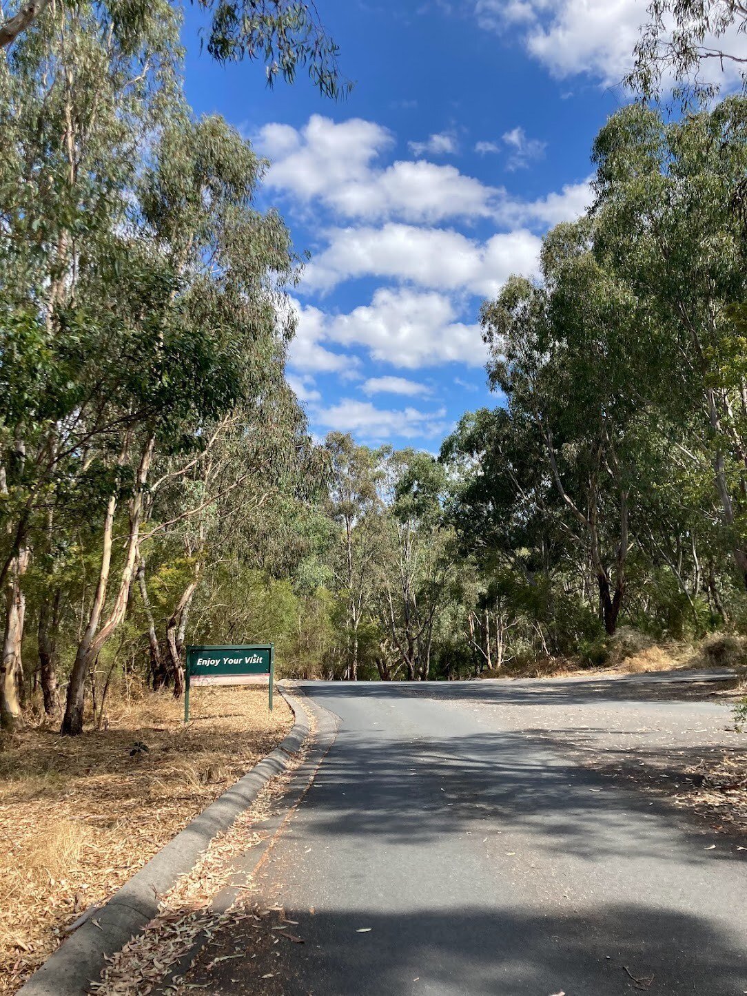 そうだ、Westerfolds Parkに行ってみよう！｜🐨Alice in Koaland🇦🇺