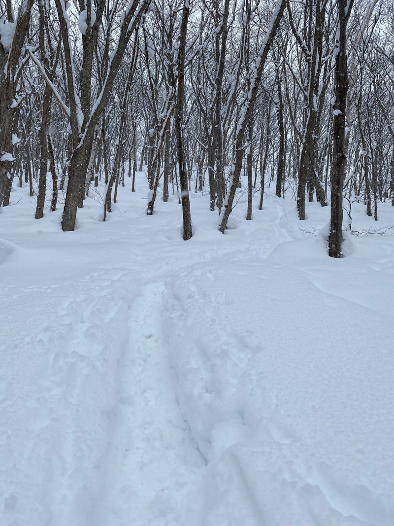 冬の熊岳（444m）に登った話｜kakbock（登山社労士）｜note