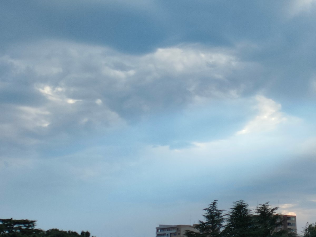 ～Poi Poi Journal～20230223｜CoCoRo_no中の君