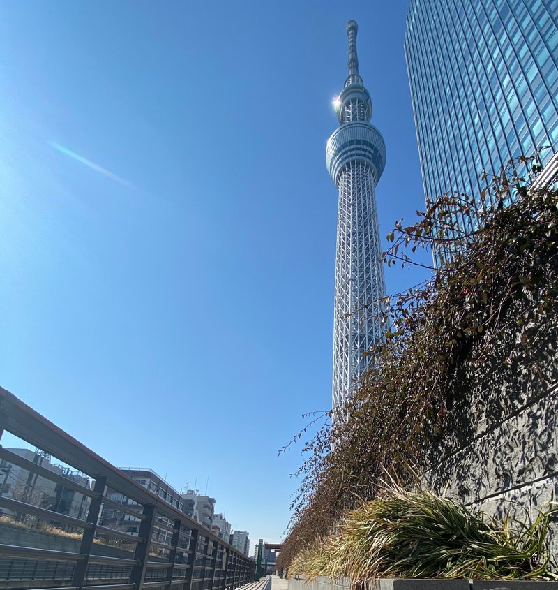 新しい「相棒」と共に・・｜Koki Miyamoto｜note