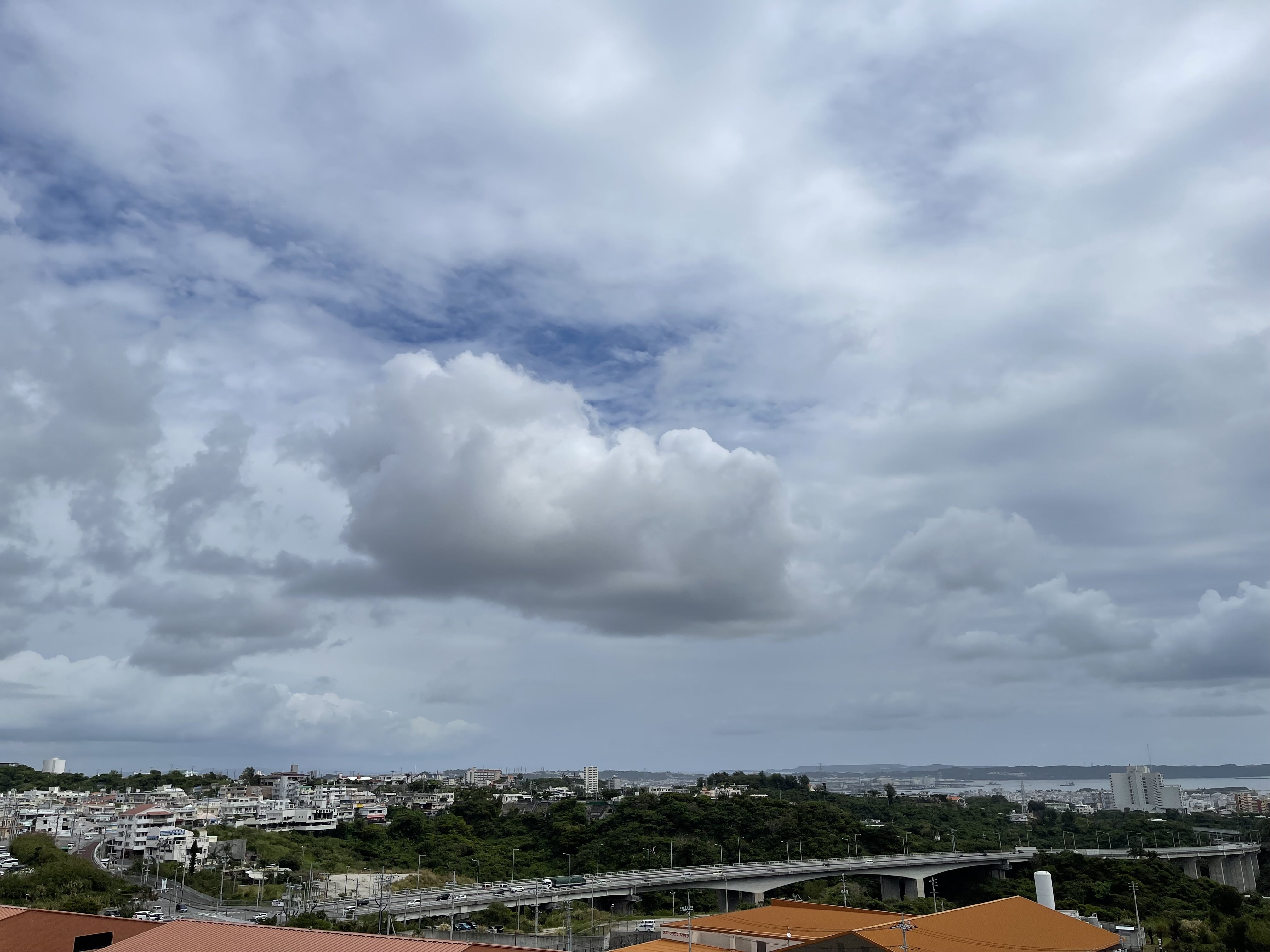 ライカムウォーキング147日目｜38gi.ryu｜note