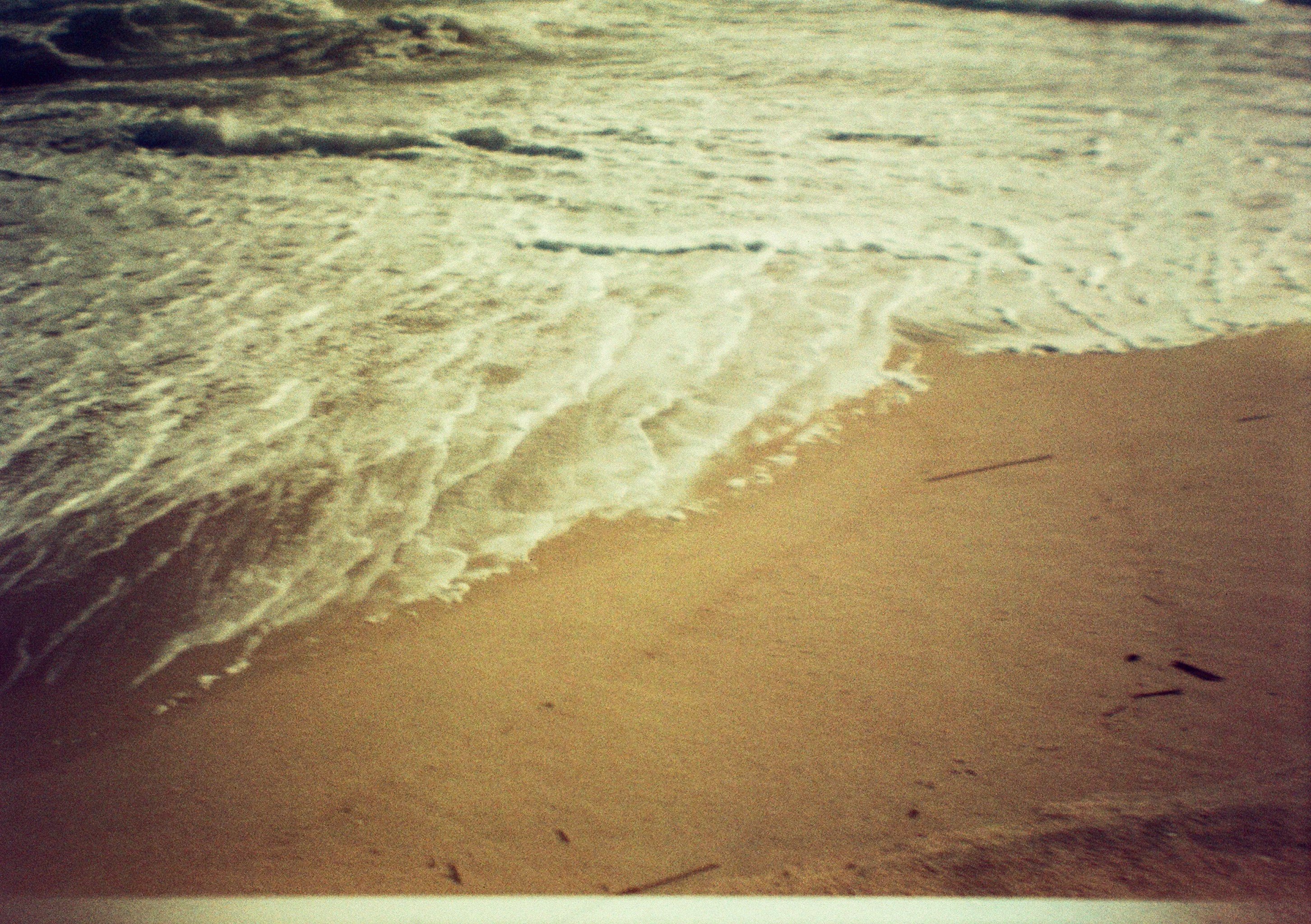 diana mini/トイカメラ｜midori｜note