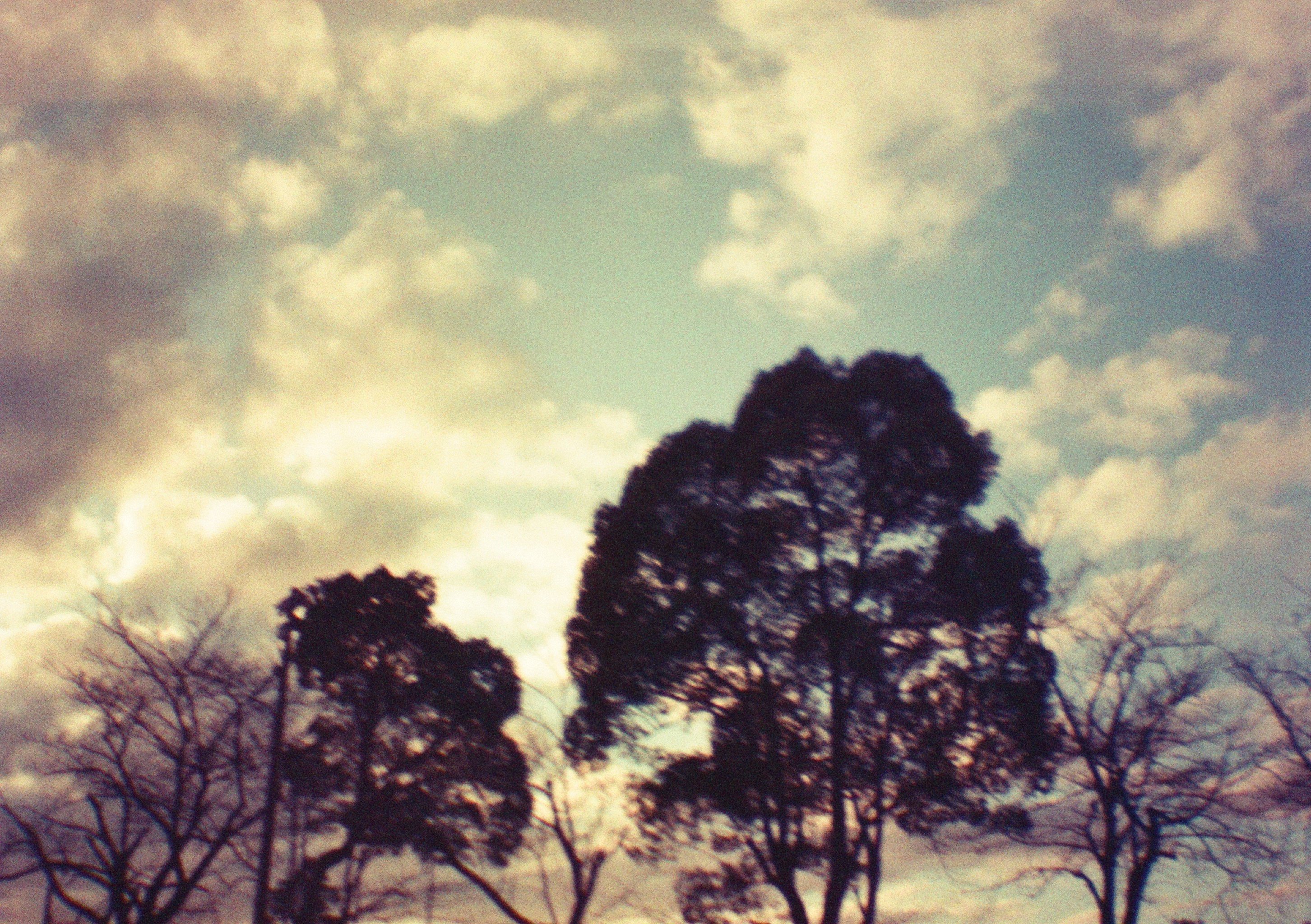 diana mini/トイカメラ｜midori｜note