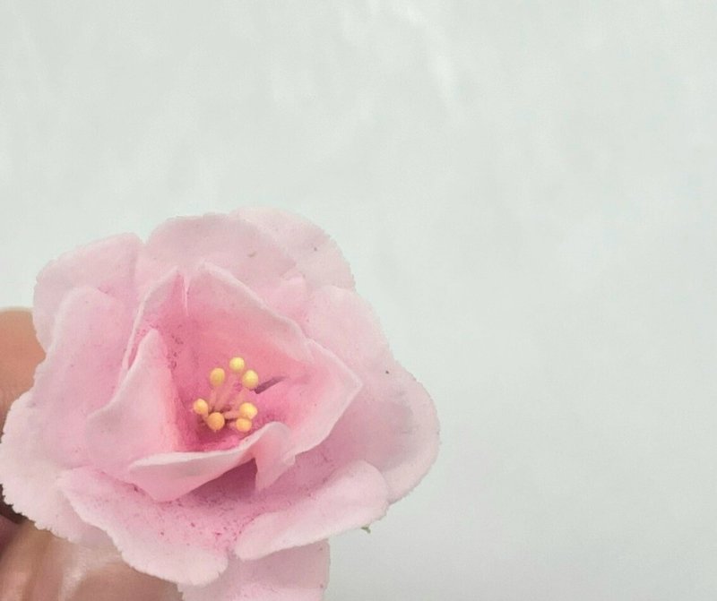 ケーキデザイナーの世界大会へ！！ #01 ～「課題#01」の経過と結果｜OtsukaYosuke 大塚陽介