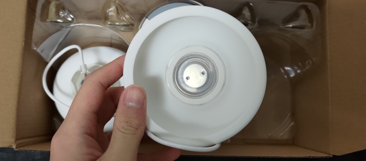 プレゼント感想8 RENDS U.F.O. BASIC｜シイタケ