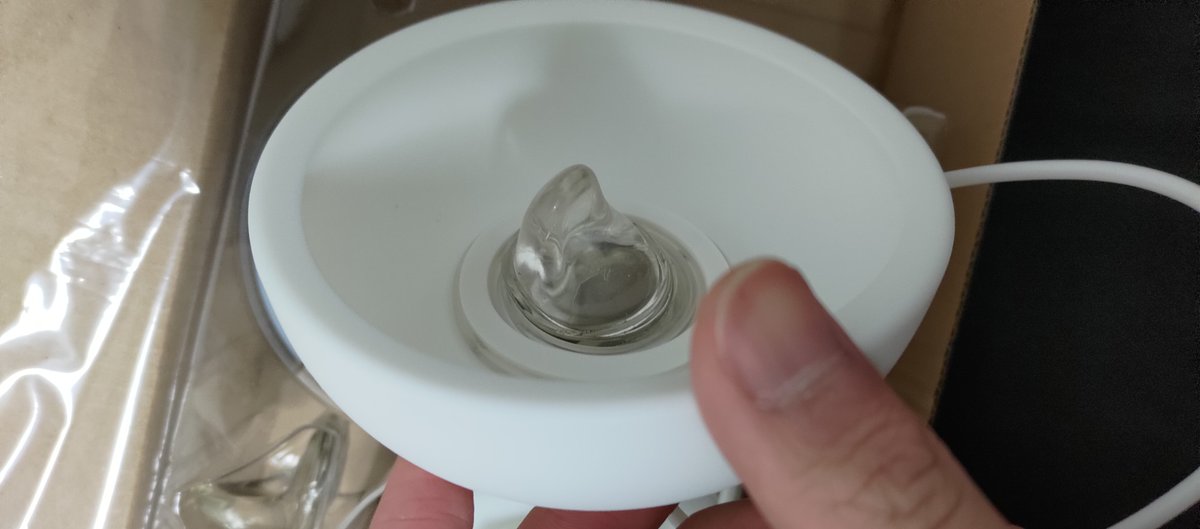 プレゼント感想8 RENDS U.F.O. BASIC｜シイタケ