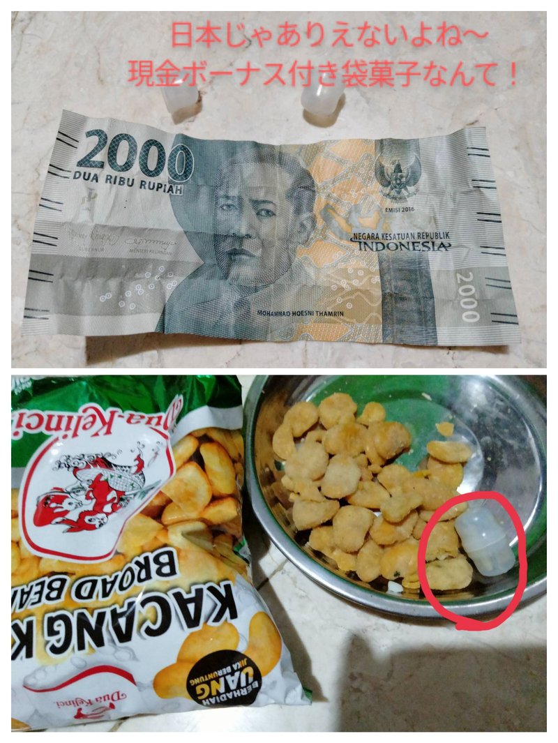 # 24 マカッサル、 アッ取れた！｜webkio｜note