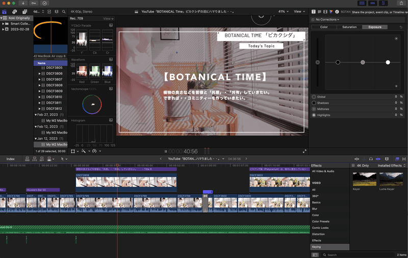久々に「BOTANICAL TIME」の動画アップします。｜Koki Miyamoto｜note