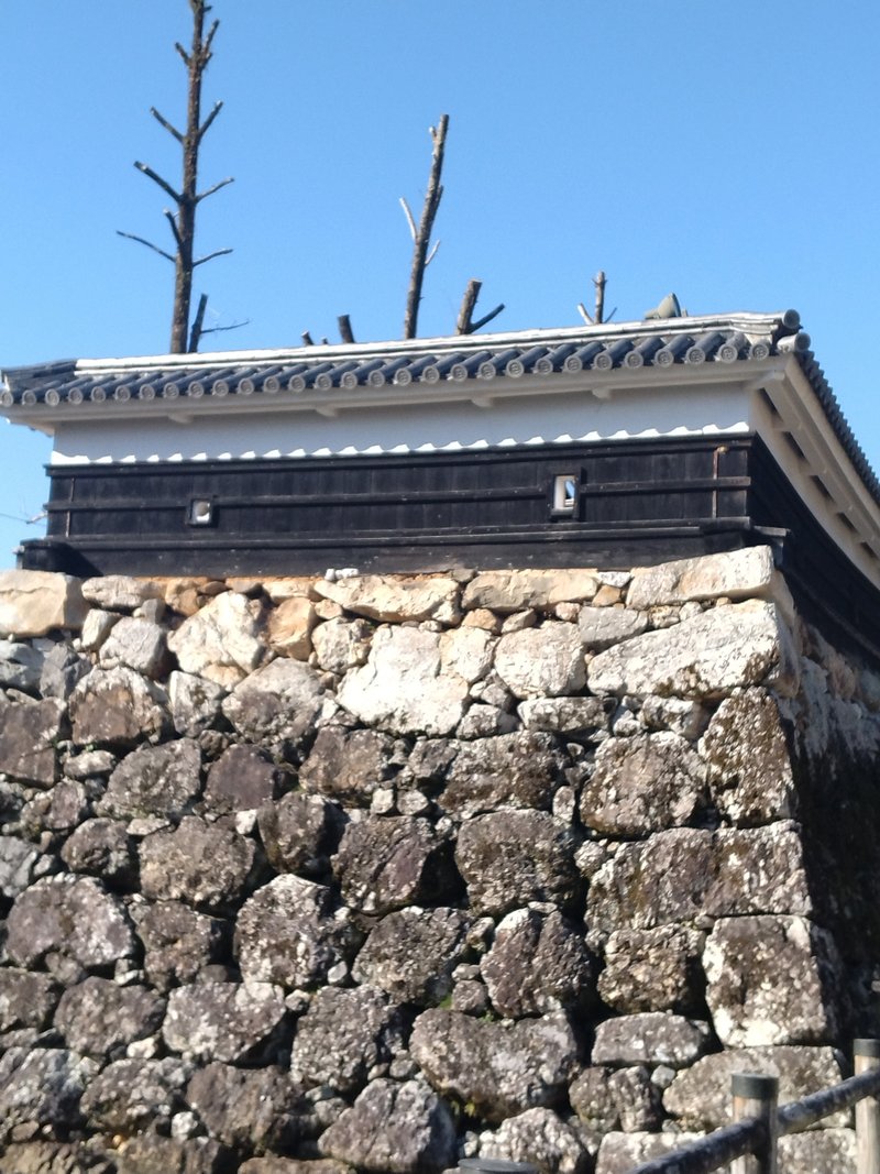 豊哲の吟行日記 〜早春の高知城へ〜｜土佐藩俳句百姓豊哲｜note