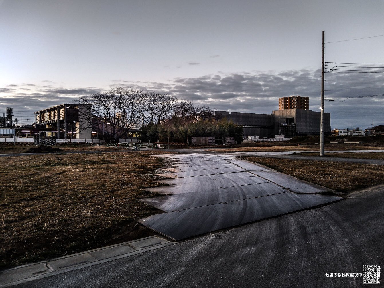 20230303。金曜日。七里の桜。朝は晴れ。（伐採監視中）。｜斉藤よしとも｜note