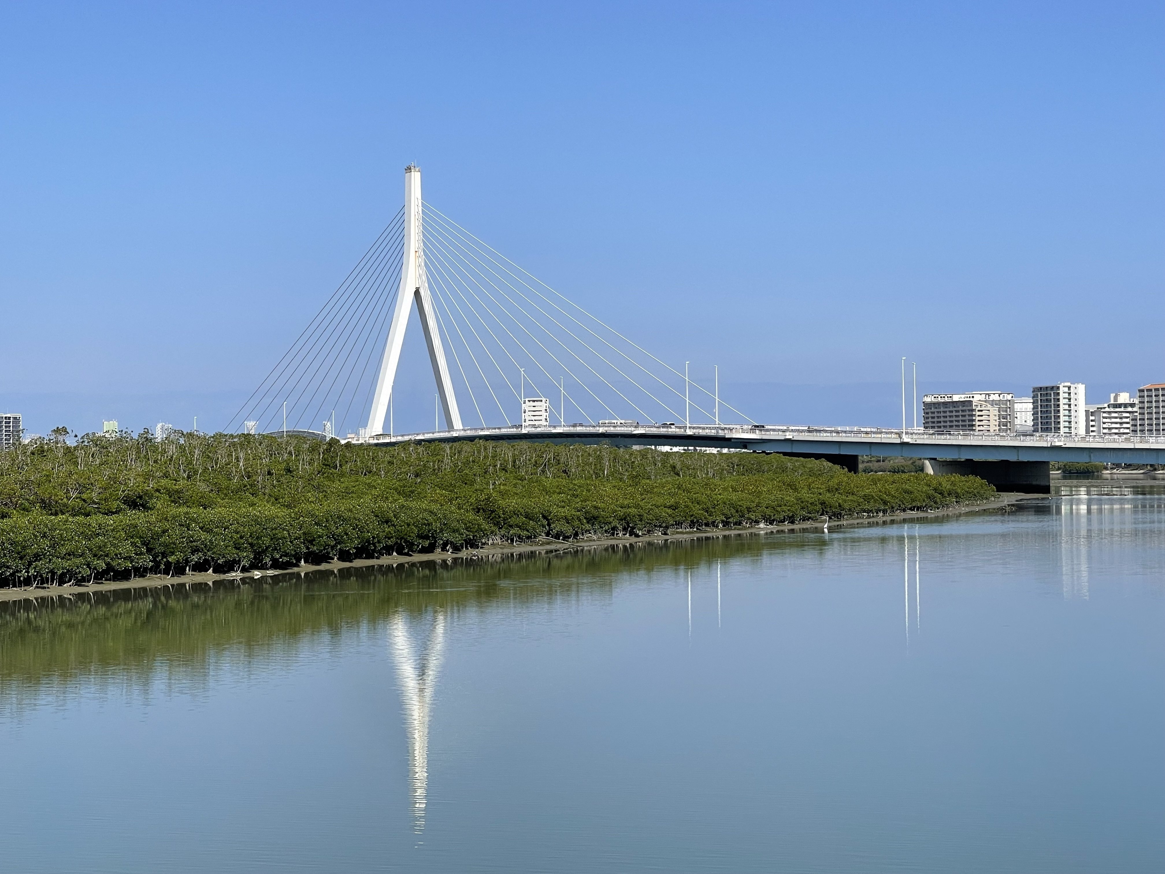 ウォーキング155日目｜38gi.ryu