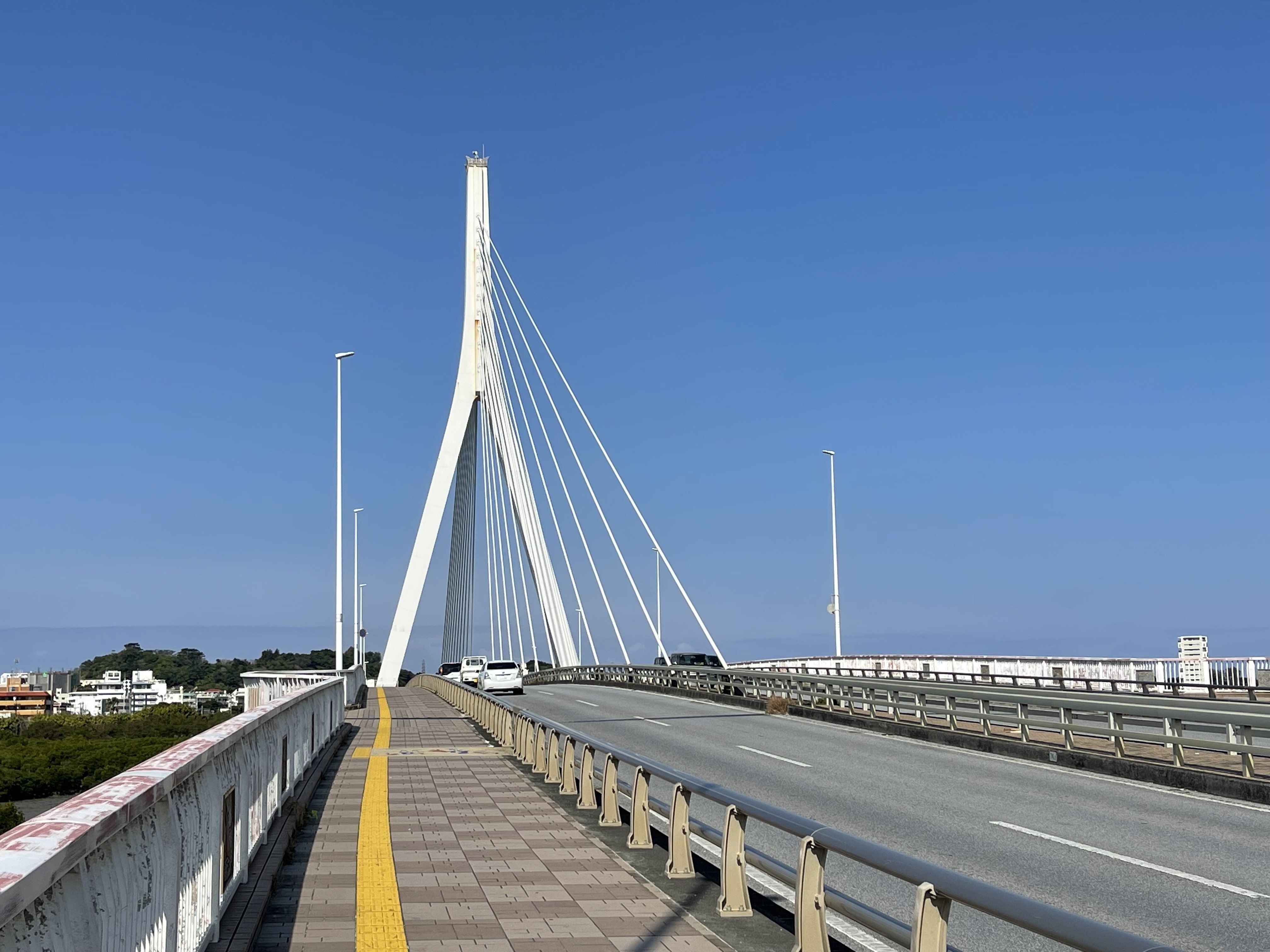 ウォーキング155日目｜38gi.ryu