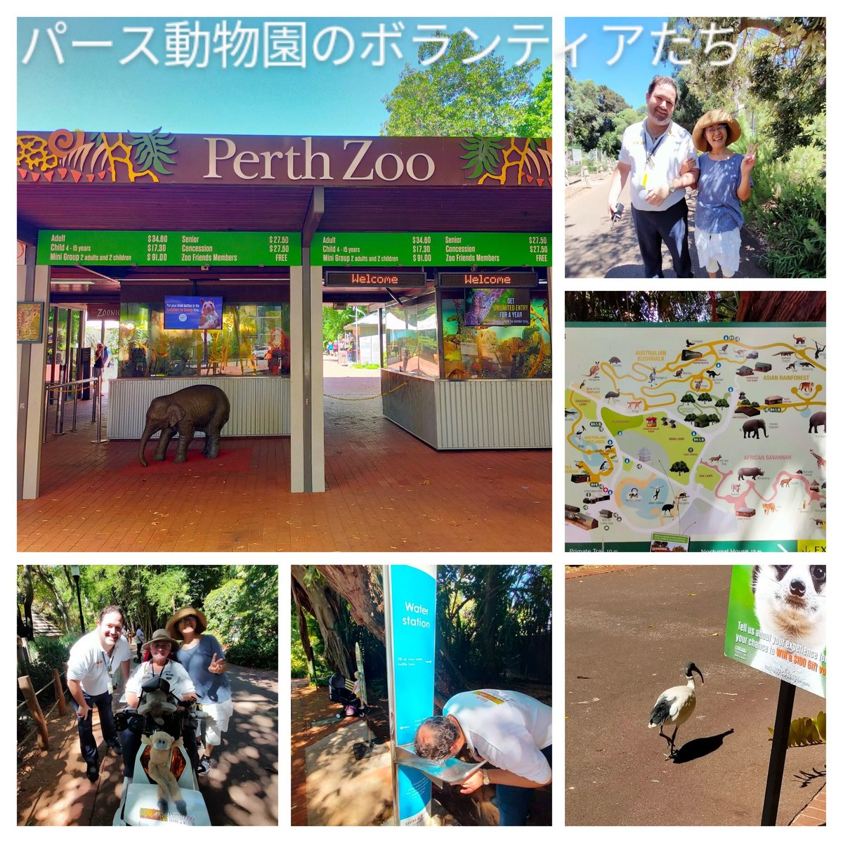 パース、動物愛が支える絶滅危機｜webkio