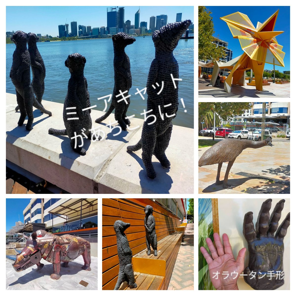 パース、動物愛が支える絶滅危機｜webkio