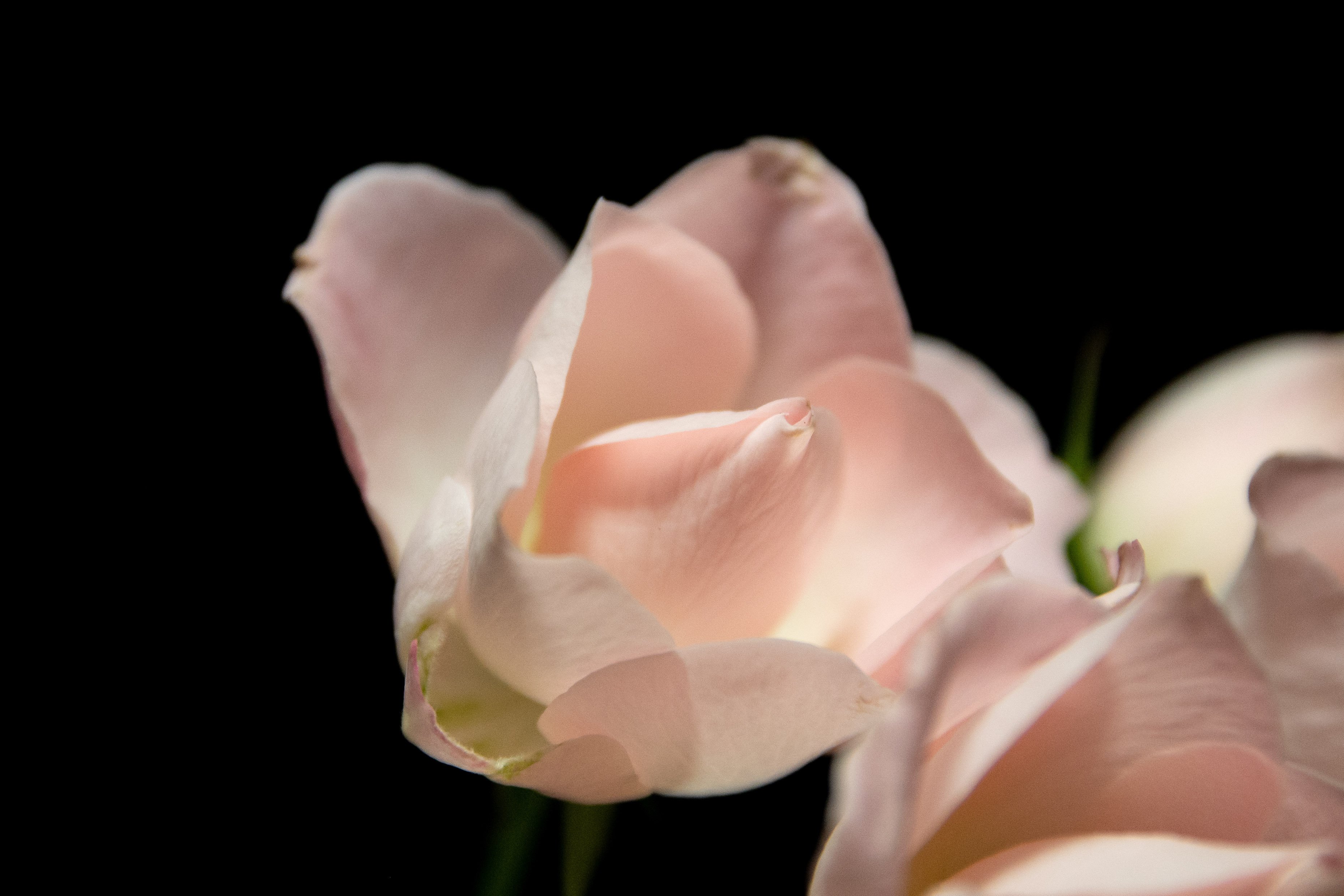 2303XX｜yuki kimura｜note