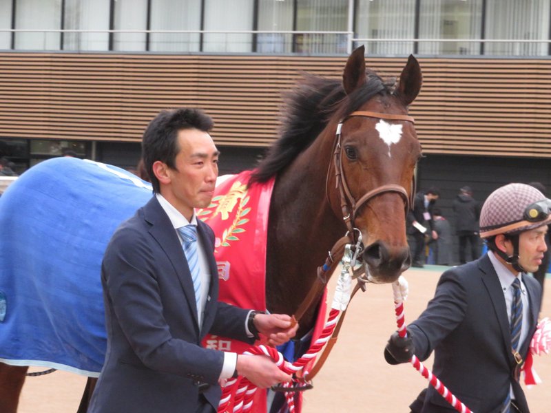 【弥生賞（G2）回顧】トリガミ…畜生!!｜Haya｜note