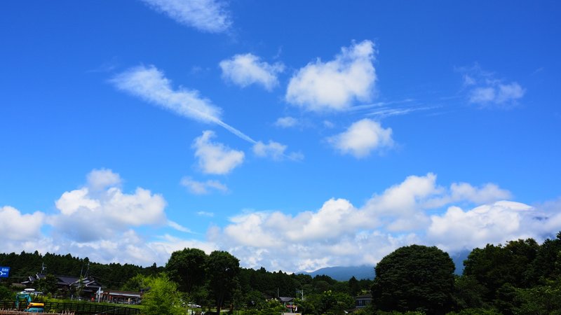 撮りたい。｜Rina🕊️｜note