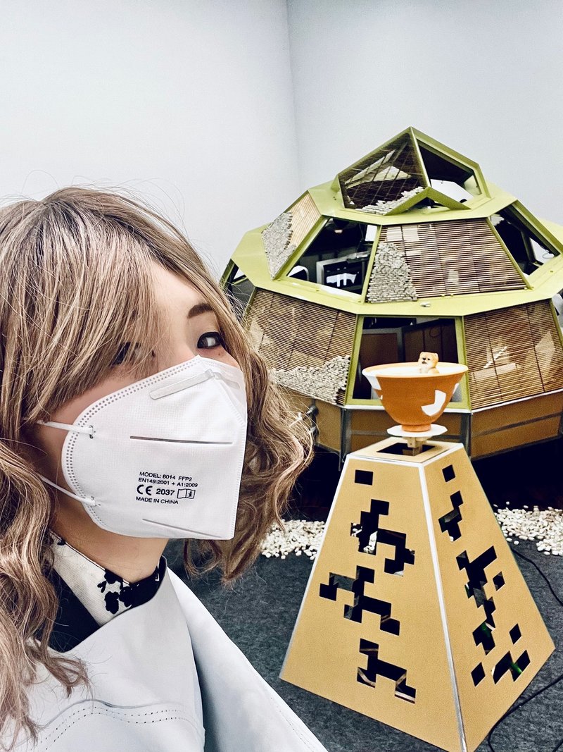 3.11 Sit, Down. Sit Down Please,Sphinx.Sphinx.｜みおしん先生 慢性的な痛みと疲労専門医｜note