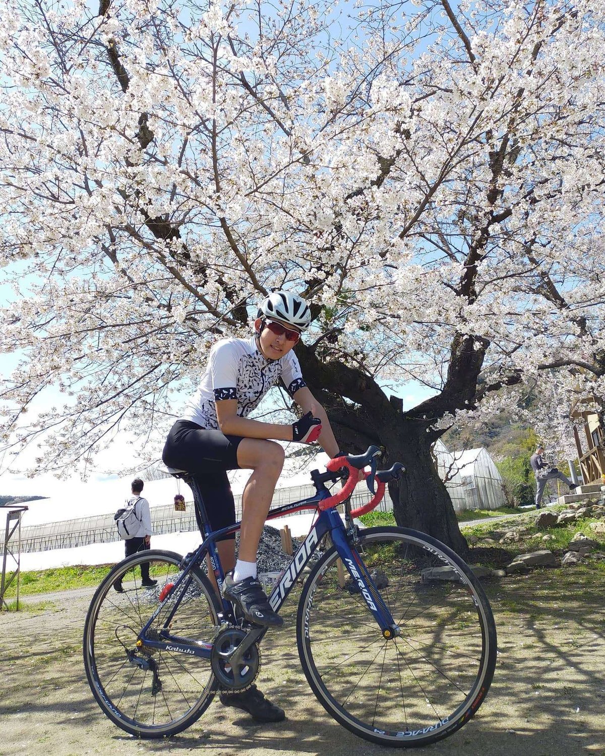 自己紹介｜ iwamoto yuuma(ゆゆ)