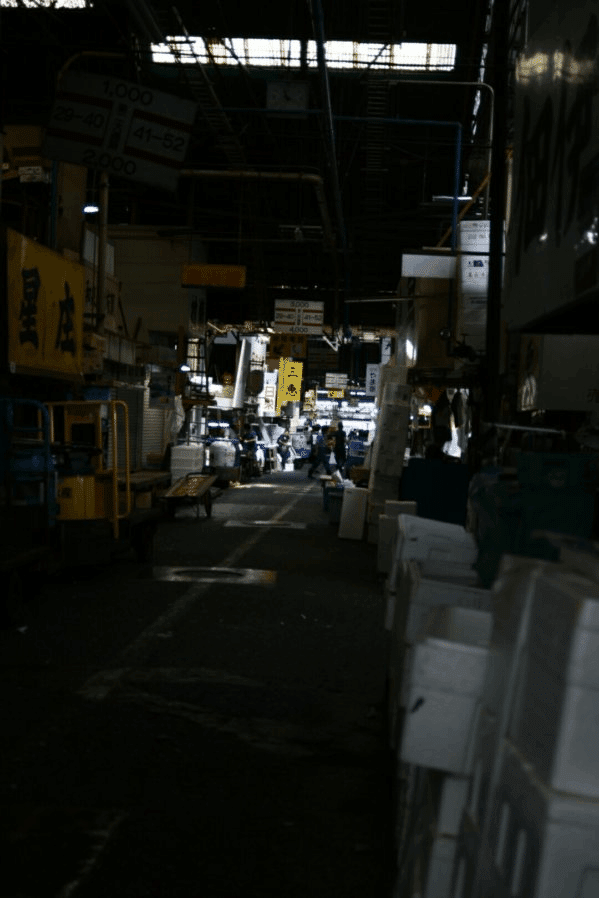 私のカメラ遍歴｜nasujin