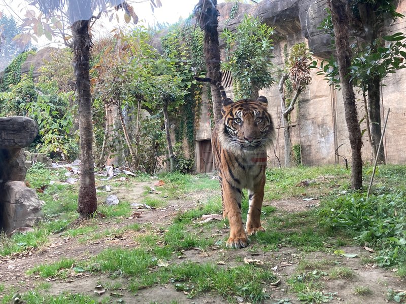 20230307 音楽以外に趣味がないのはどうかと思う話｜ミウラコウジ｜note