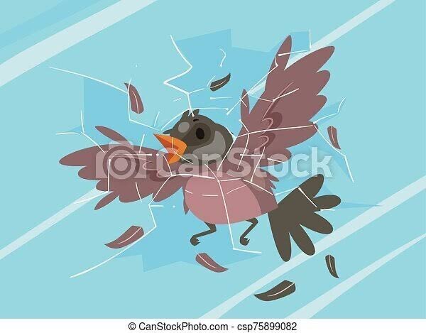 第2415回 鳥の衝突事故｜翆野 大地