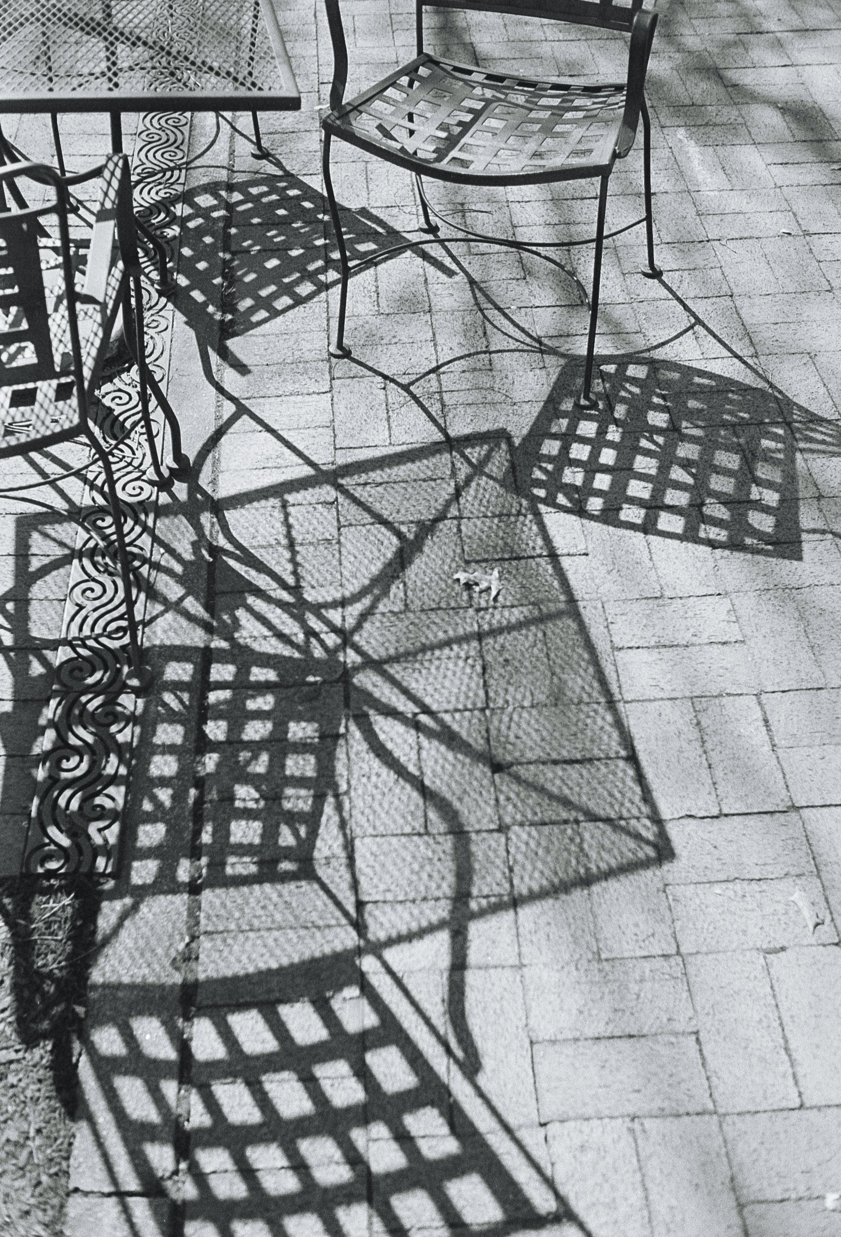 シャドウ＜週末自家現像＞｜MOJA MOJA｜note