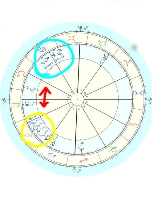 ホロスコープがおもしろい！（2）ホロスコープを読んでもらうことの意味＋BTS｜akkiy☆